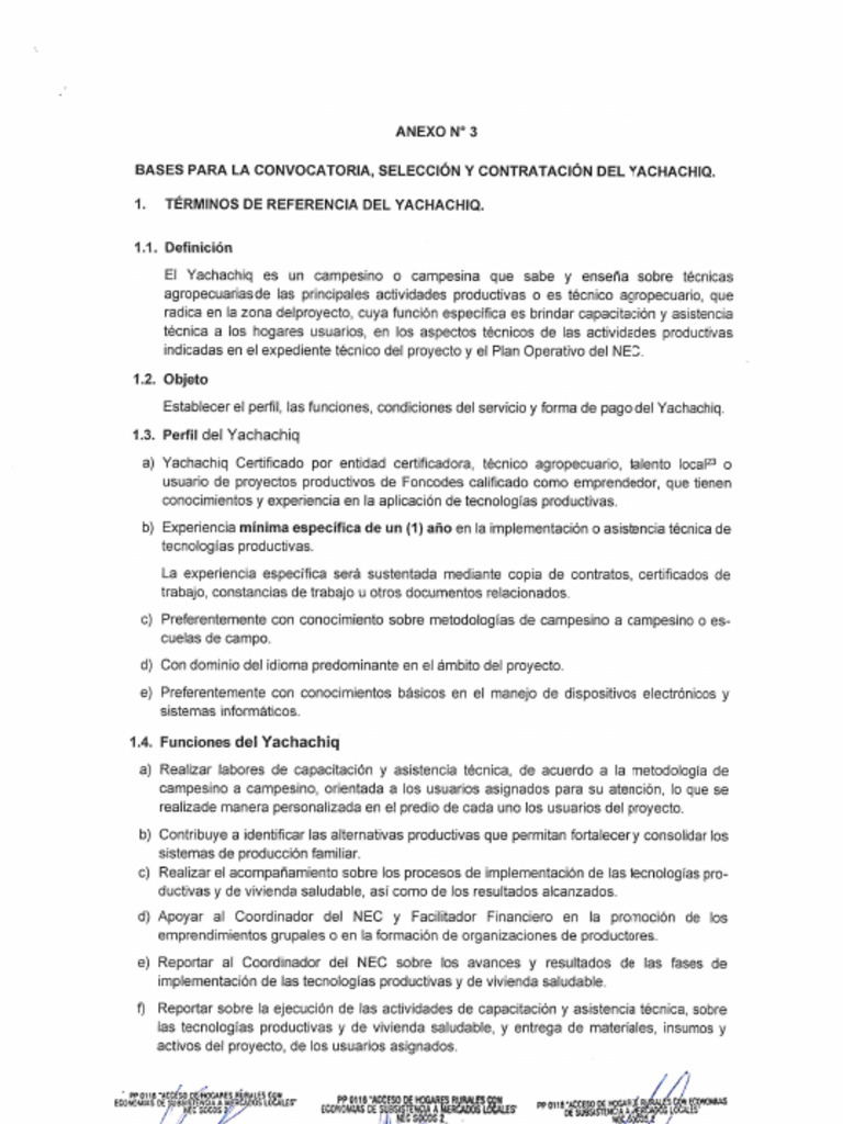 ANEXO 3 - Bases - Conv 03-2024 NEC Socos 2 | PDF