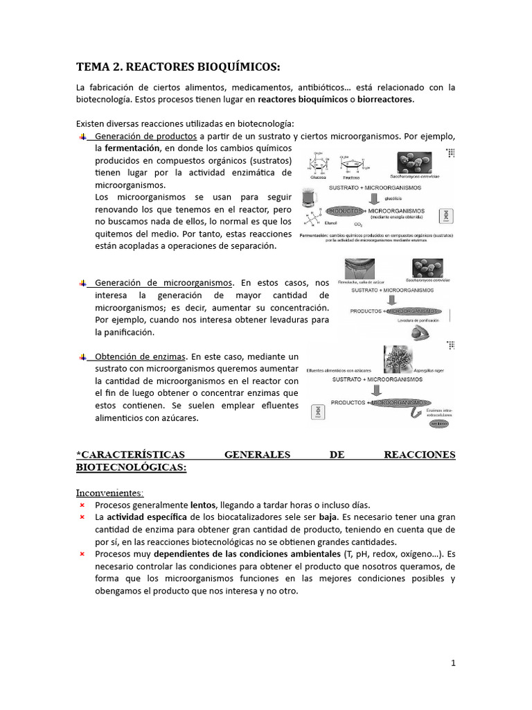 Tema 2. Reactores Bioquímicos | PDF | La cinética de enzimas | Cromatografía