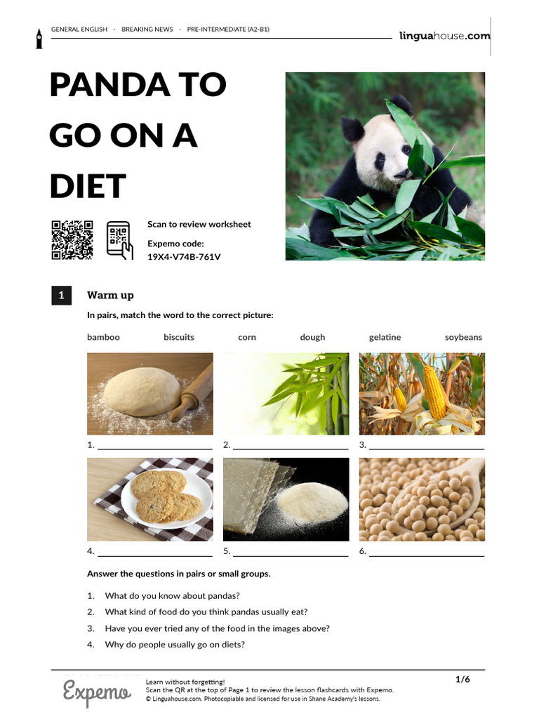panda-to-go-on-a-diet-british-english-student | PDF | Giant Panda
