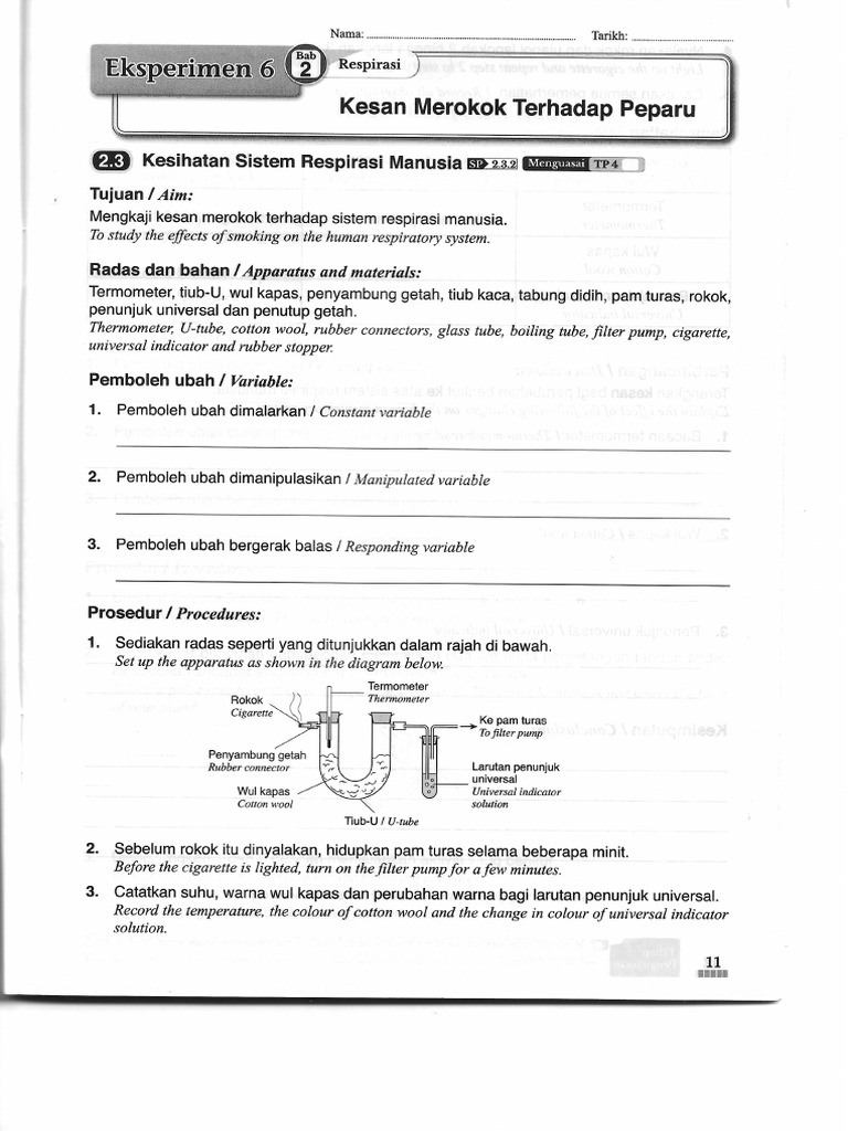 Kesan Merokok Terhadap Peparu | PDF