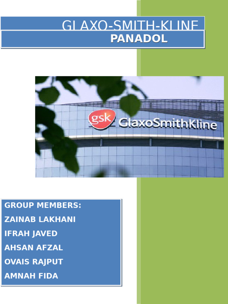 GSK Marketing Report | PDF | Marketing | Brand