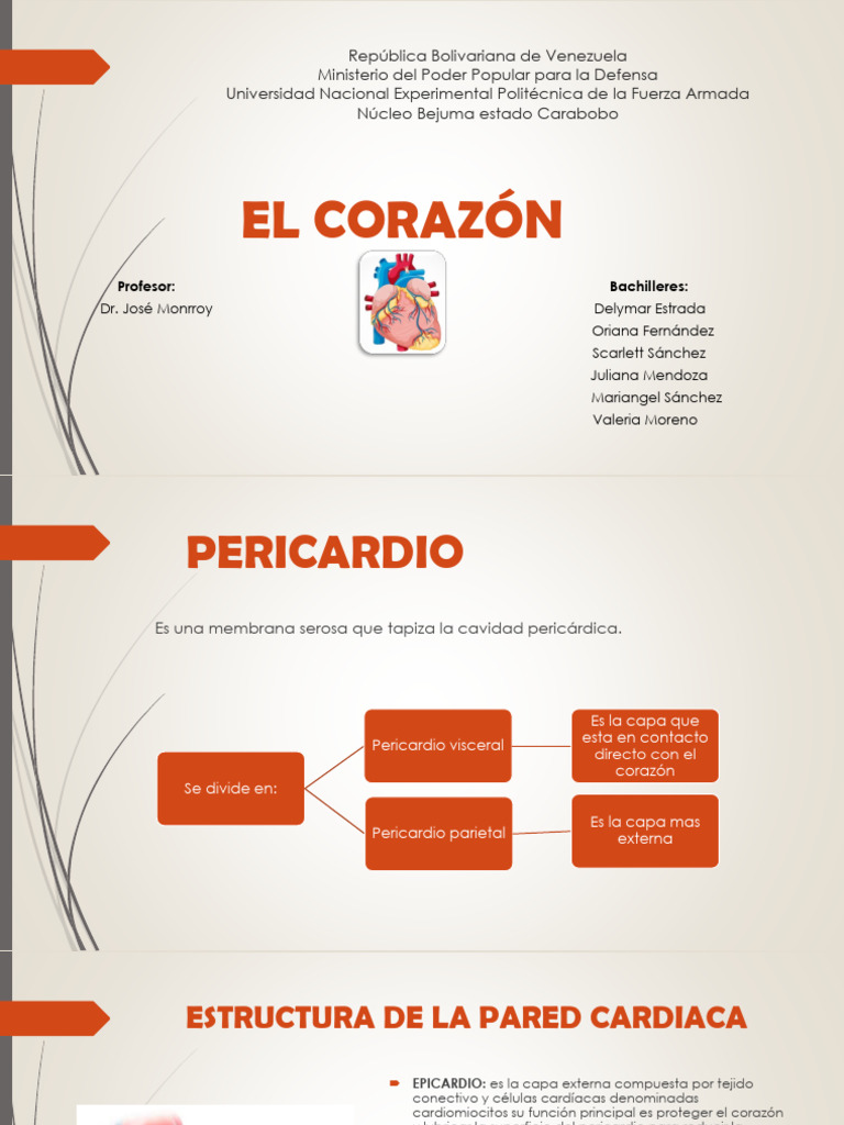 Grupo #2 El Corazon | PDF | Corazón | Ventrículo (corazón)