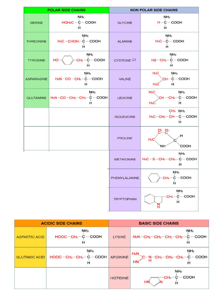 Biochem Lab | PDF