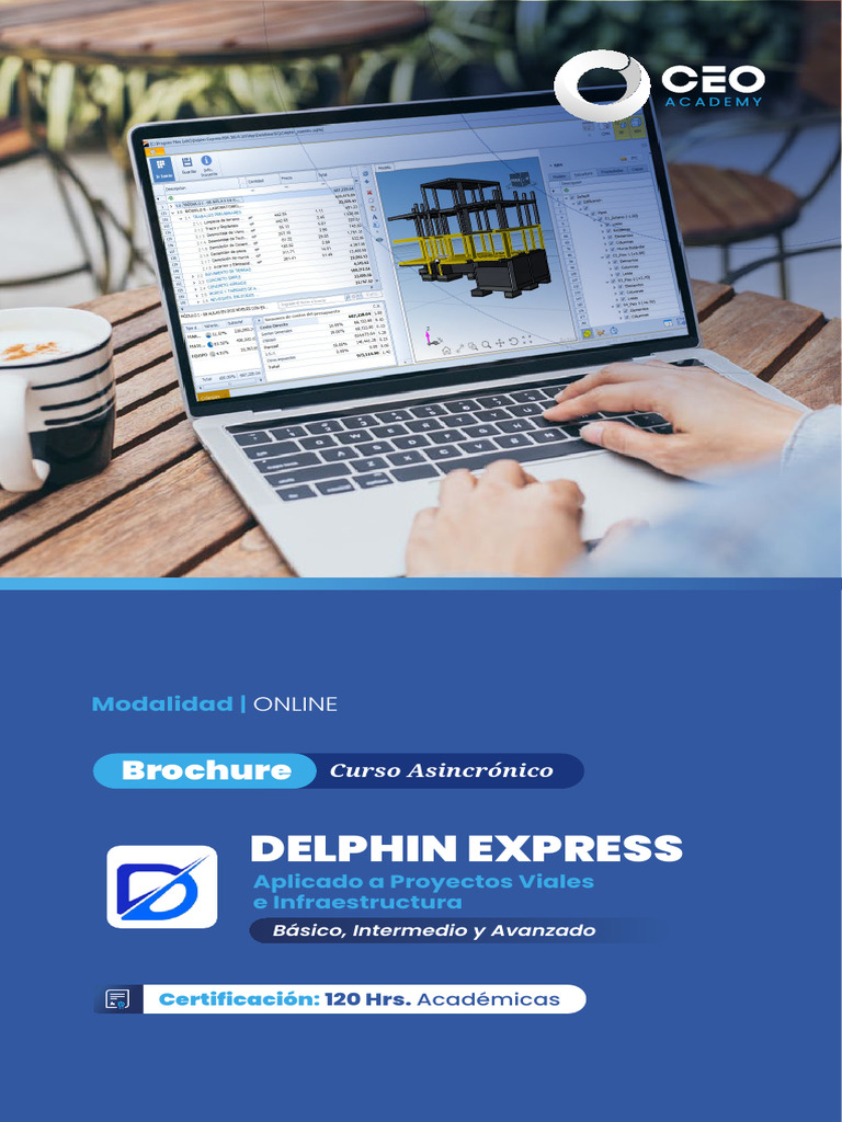Delphin Express - Aplicado A Proyectos Viales e Infraestructura | PDF ...