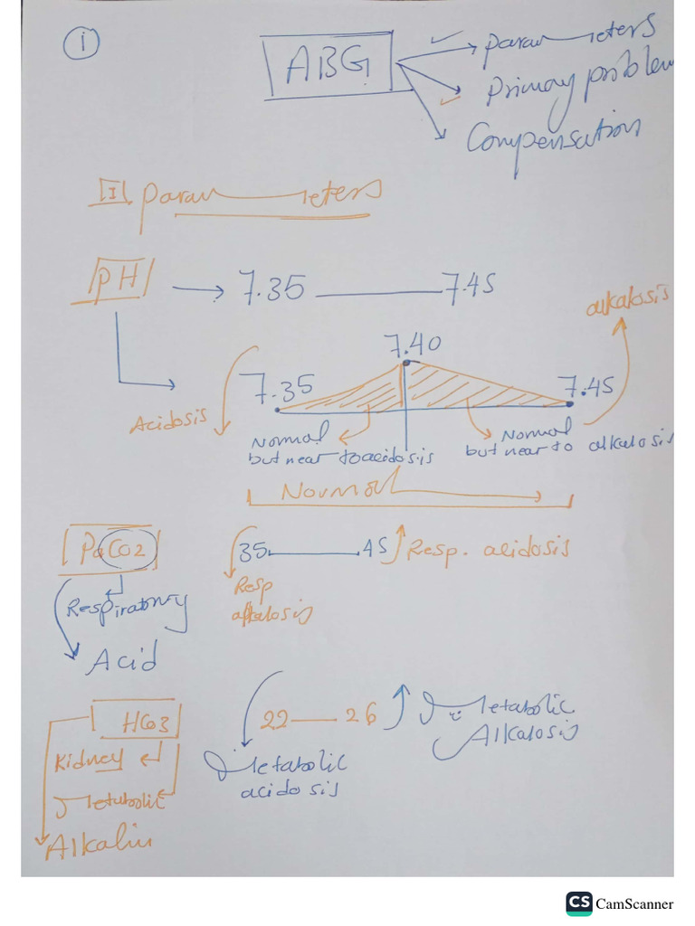 ABG interpretation | PDF