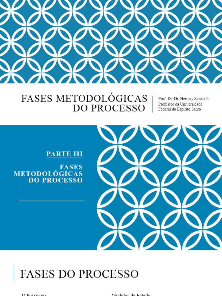 Fases Metodológicas do Processo Jurídico | PDF | Ação judicial | Governo