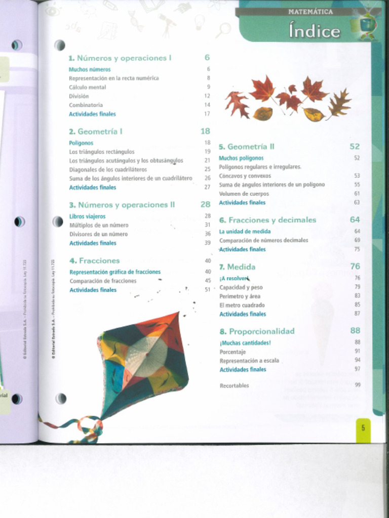 Manual Matematica | PDF