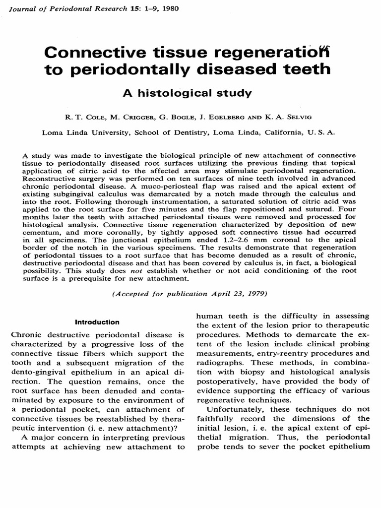 Connective Tissue Regeneratiofff To Periodontally Diseased Teeth - A ...