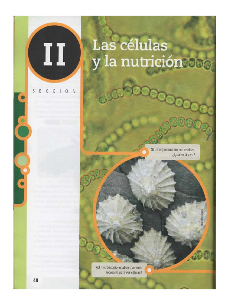 Biologia2 Seccion2 Cap4 | PDF