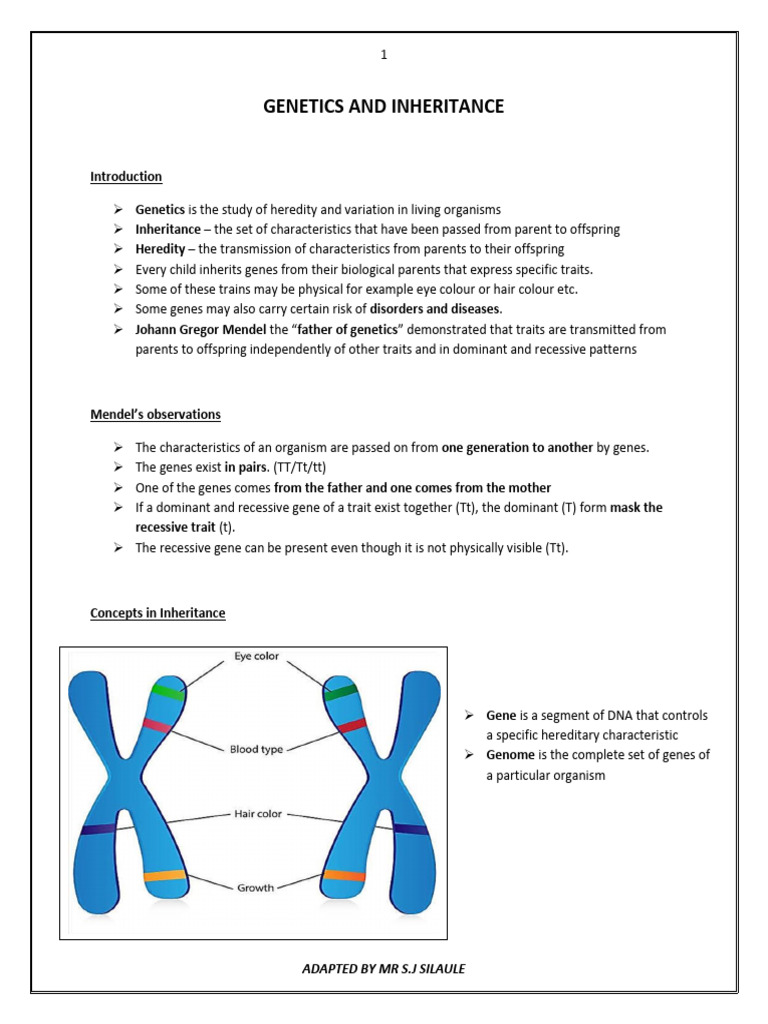 Genetics Notes | Download Free PDF | Dominance (Genetics) | Genotype