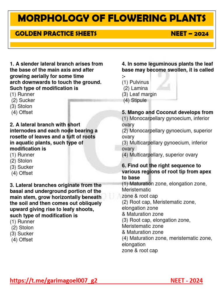 Gold DPP of Morphology of Flowering Plants by Garima Mam | PDF | Seed ...