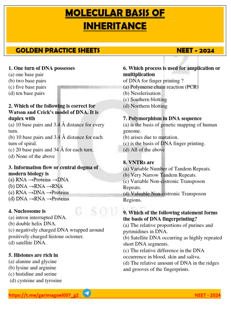 Gold Dpp Of Mol Bio By Garima Mam Pdf Rna Directionality