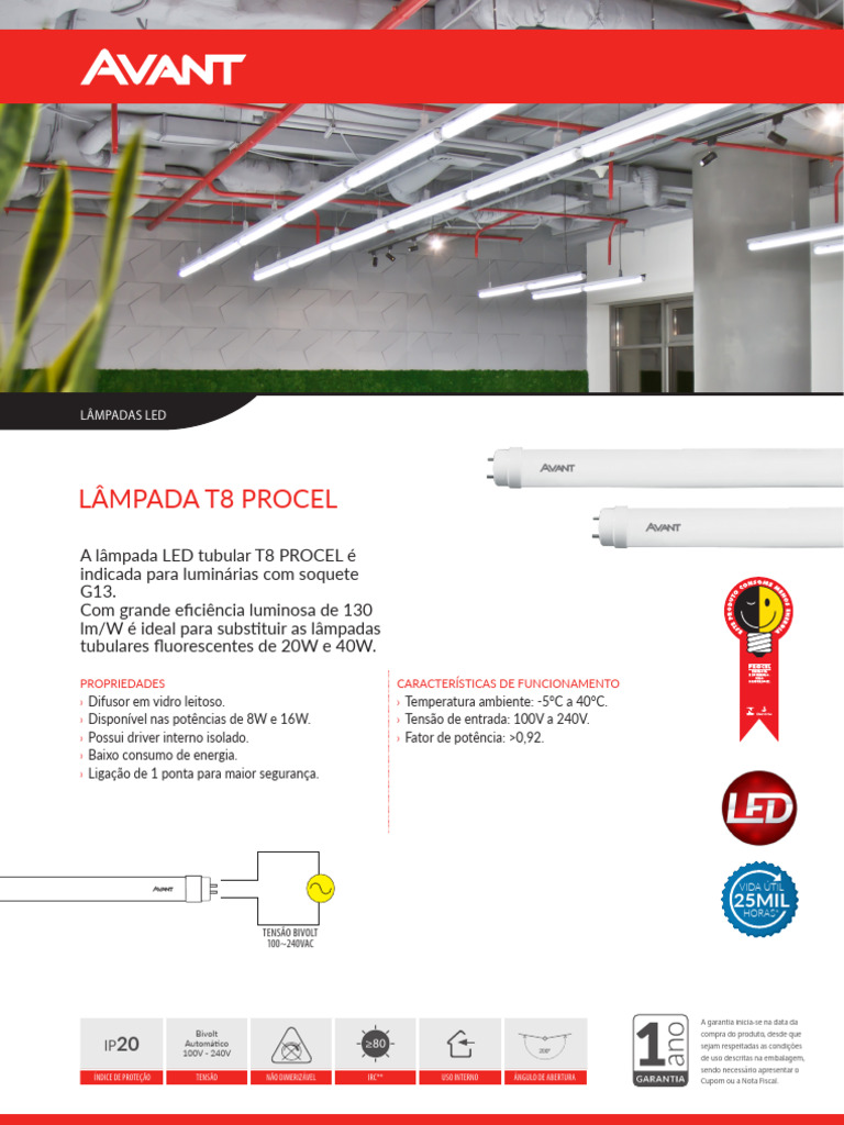 Lâmpada LED T8 Procel: Eficiência e Segurança | PDF