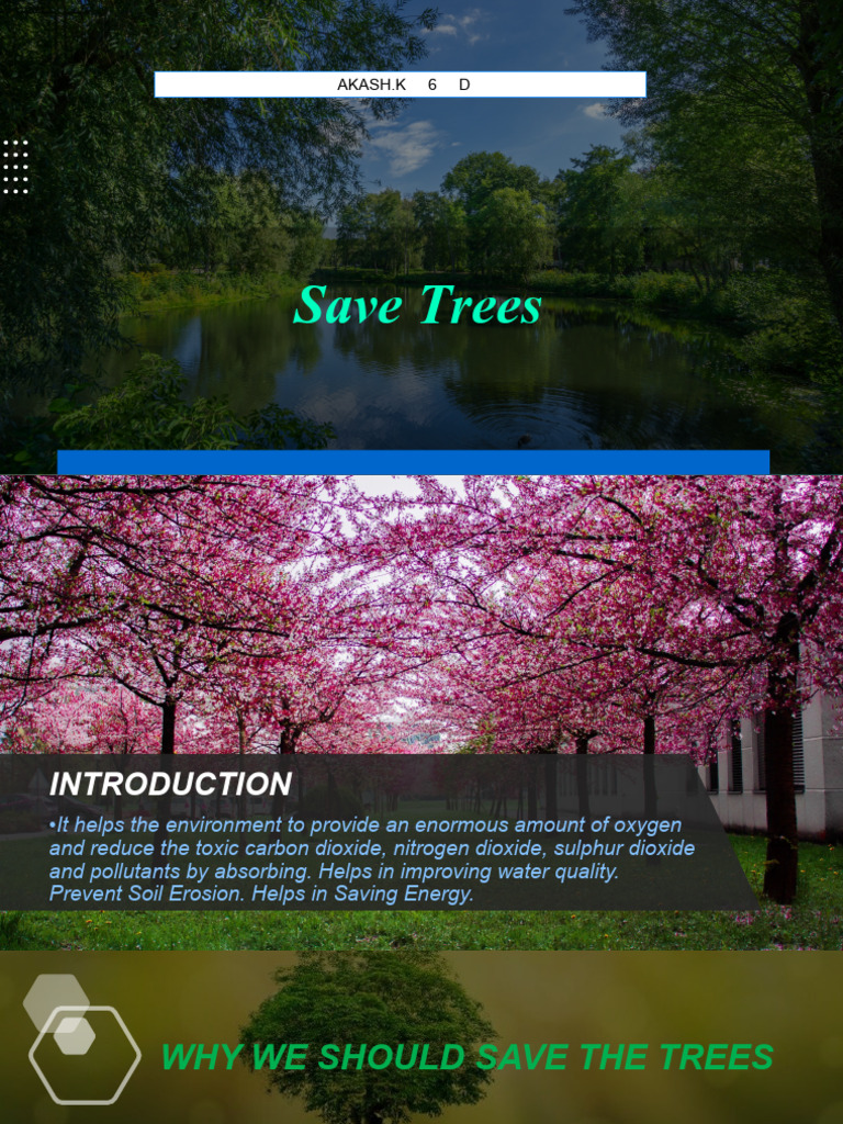 Save Trees: Akash.K 6 D | PDF | Soil | Trees