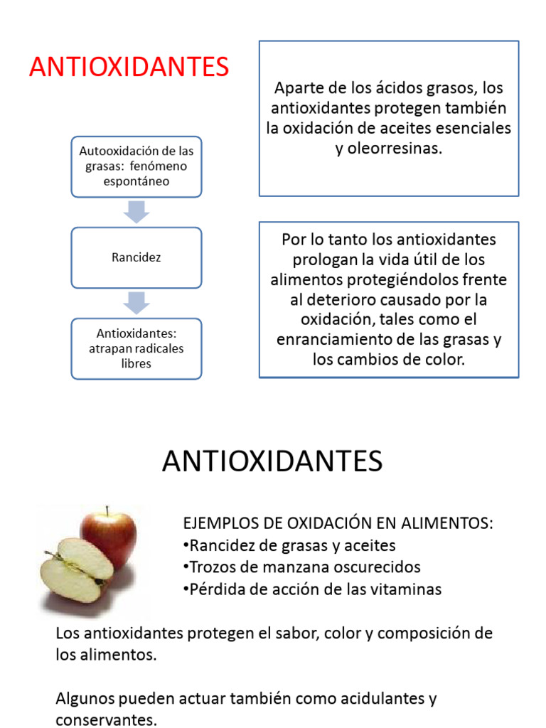 Antioxidantes y Preservantes | PDF | Antioxidante | Alimentos