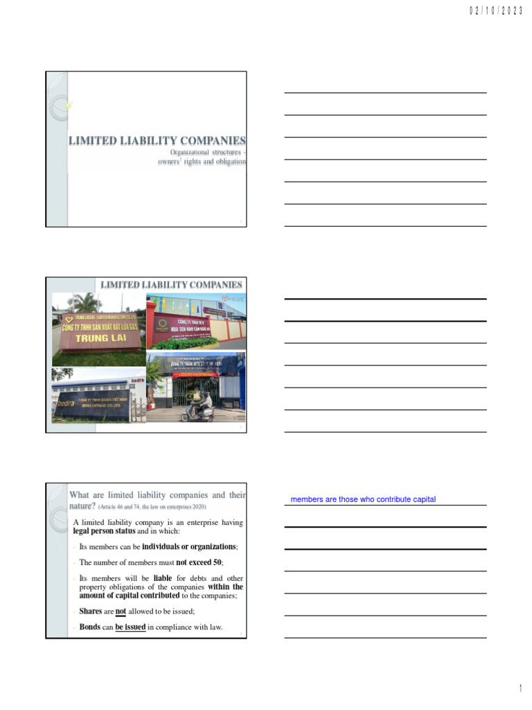 Understanding Limited Liability Companies | PDF | Limited Liability ...