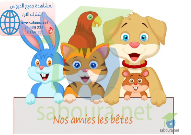 Nos Amies Les Betes | PDF