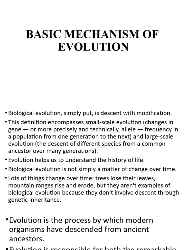 Basic Mechanism of Evolution | PDF | Mutation | Evolution