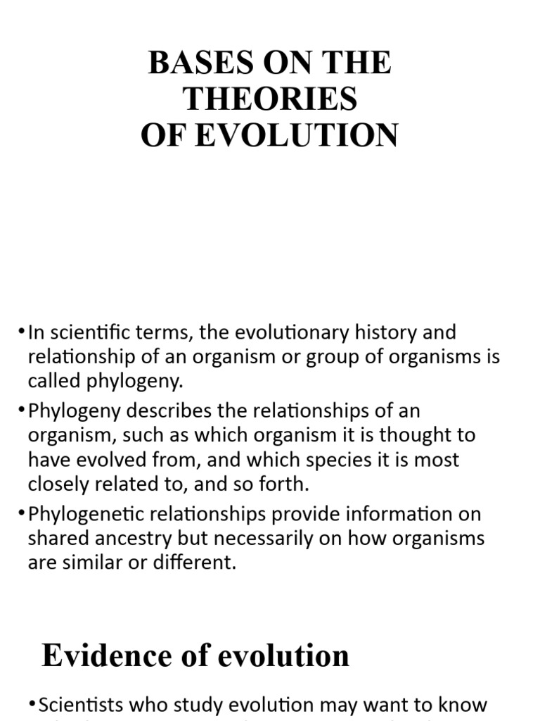 Bases On The Theories | PDF | Evolution | Homology (Biology)