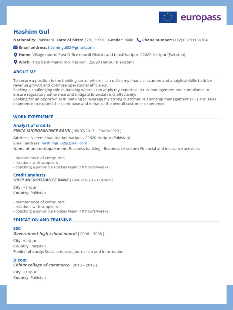 Hashim CV | PDF | Banks | Communication