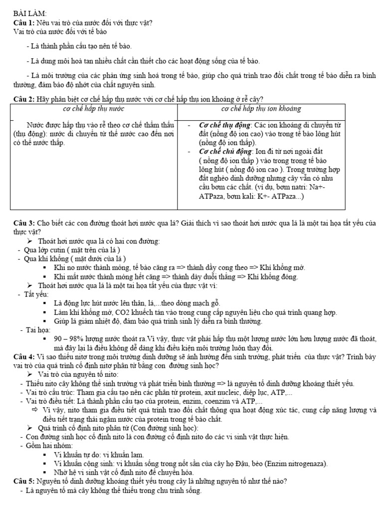 On Tap Giua Ki 1 L | PDF