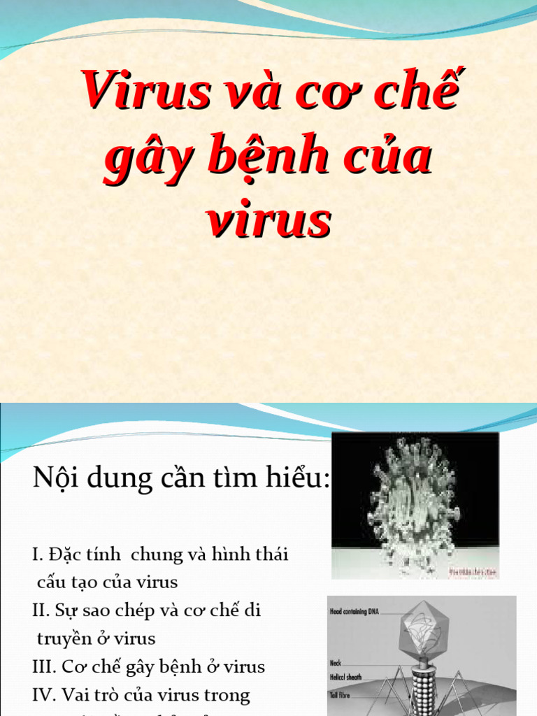 Virus Va Co Che Gay Benh Cua Virus | PDF