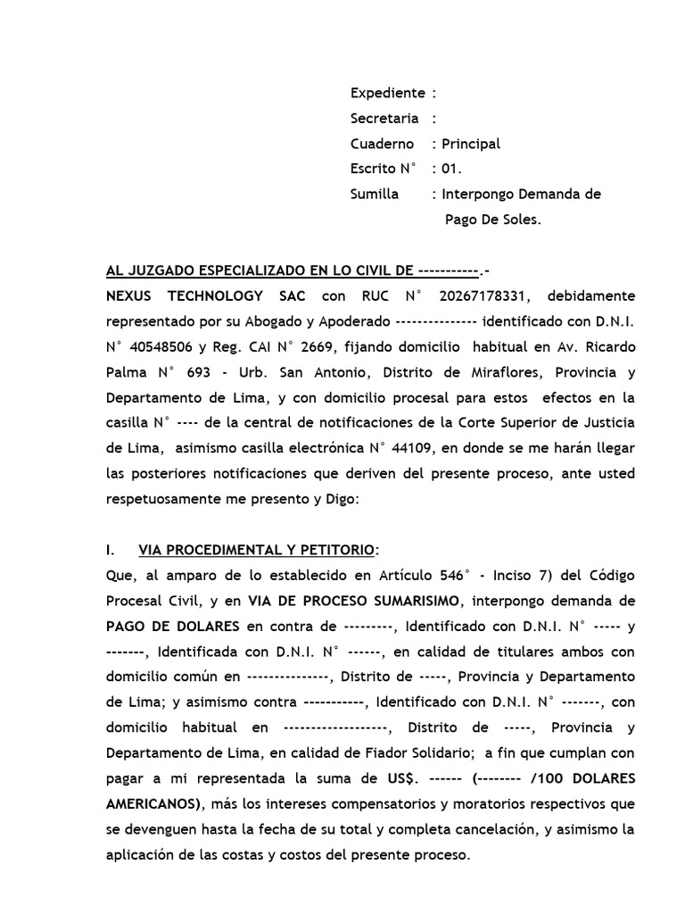 PAGO DE NUEVOS SOLES - Final | PDF | Pagos | Demanda judicial