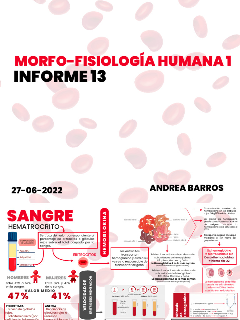 Infografia Sangre | PDF | Sangre | Tipo de sangre