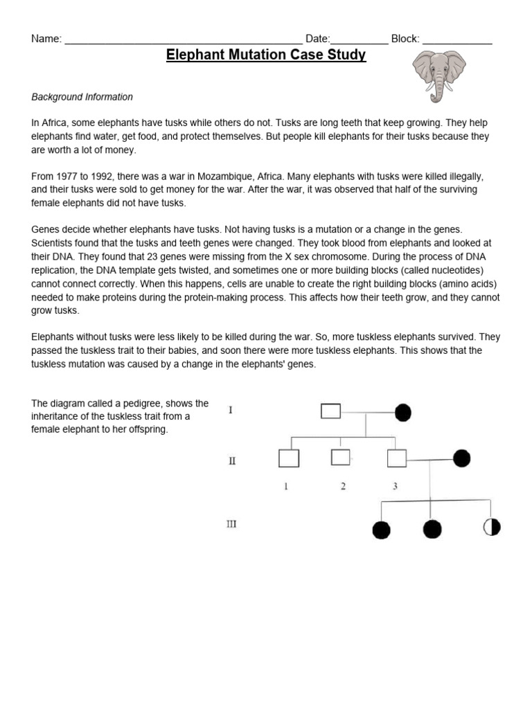 Elephant Mutation Case Study | PDF | Science & Mathematics