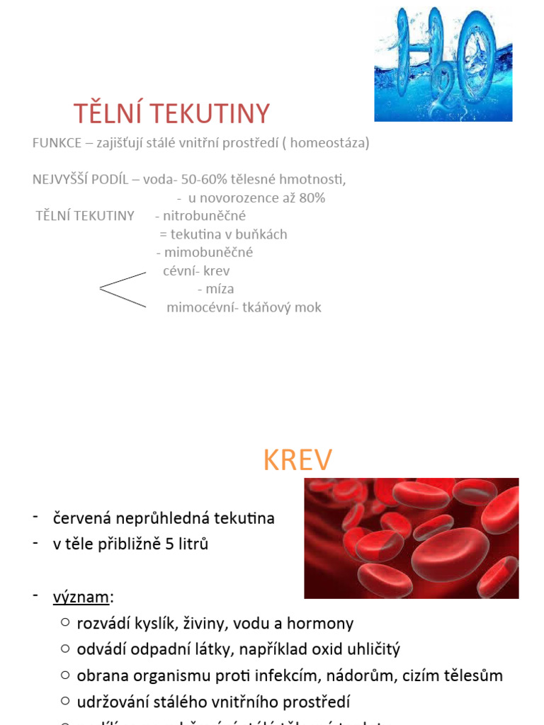 Krev | PDF