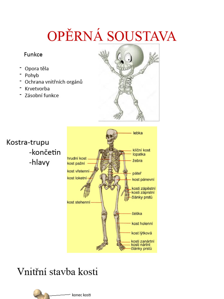 Operna Soustava | PDF