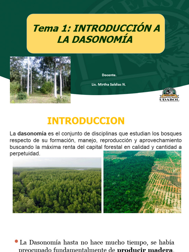 DASONOMIA_Tema 1.Introducción a la Dasonomía | PDF | Los bosques ...
