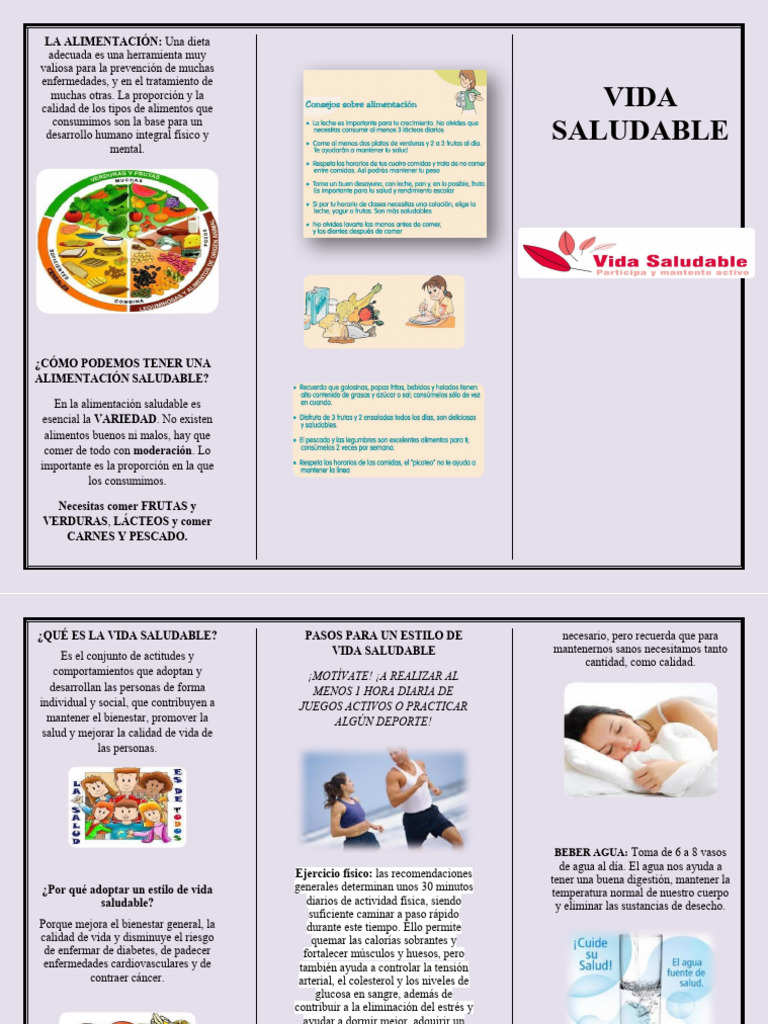 Tríptico sobre Vida Saludable | PDF | Dieta saludable | Alimentos