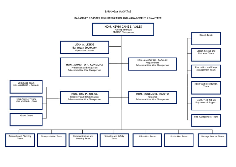 BDRRMC ORGANIZATIONAL CHART | PDF | Emergency Management | Public Safety