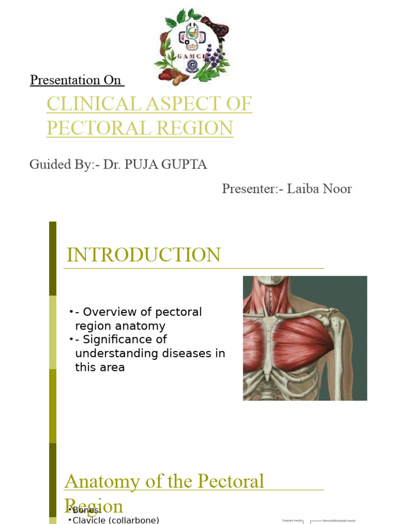 Clinical Aspect of Pectoral Region | PDF
