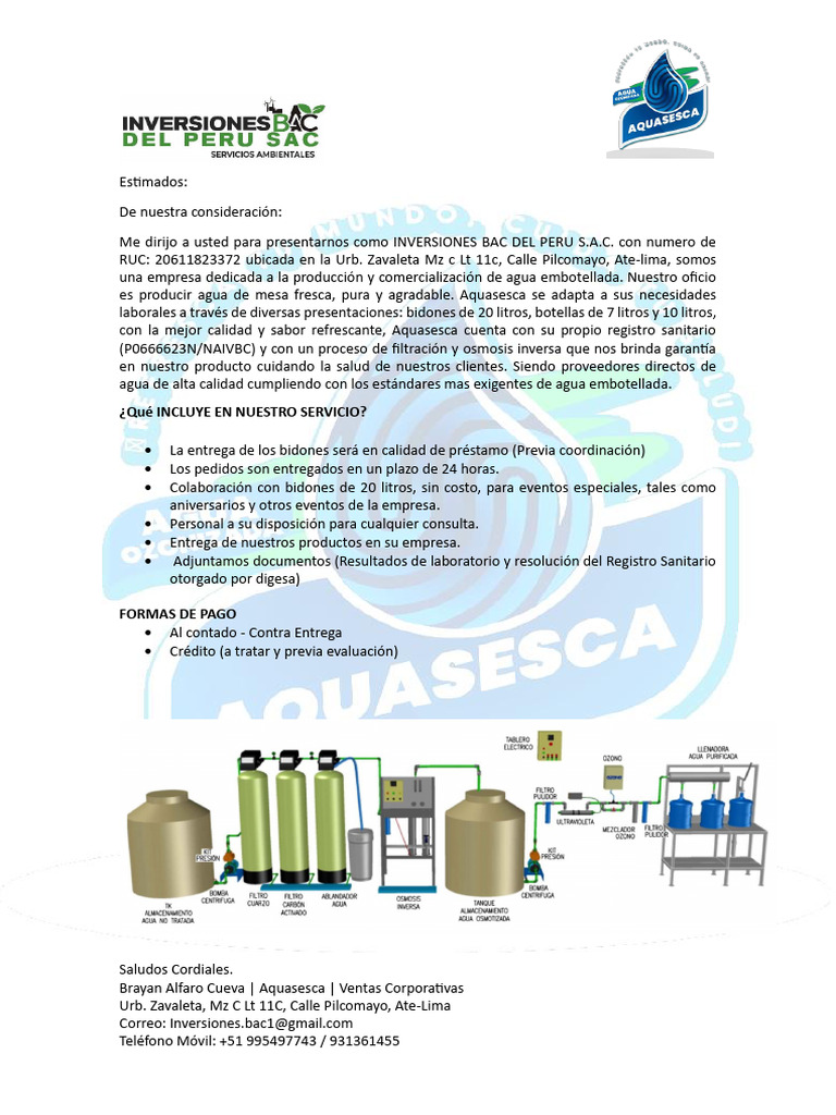 CARTA DE PRESENTACION INVERSIONES BAC SAC (1) | PDF | Análisis de Riesgo y Puntos Críticos de ...