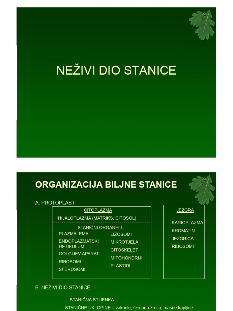 A Grada Stanice3 | PDF