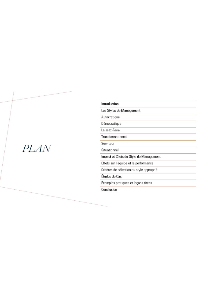 Plan Styles de Managements | PDF