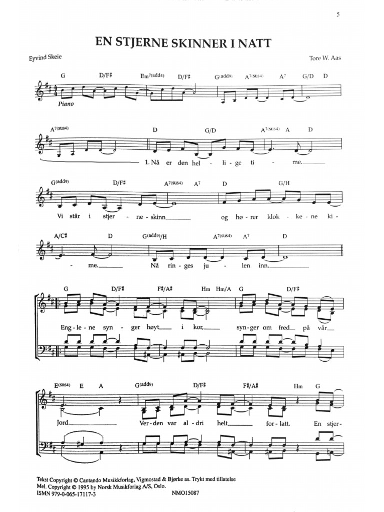 En stjerne skinner i natt 3 | PDF