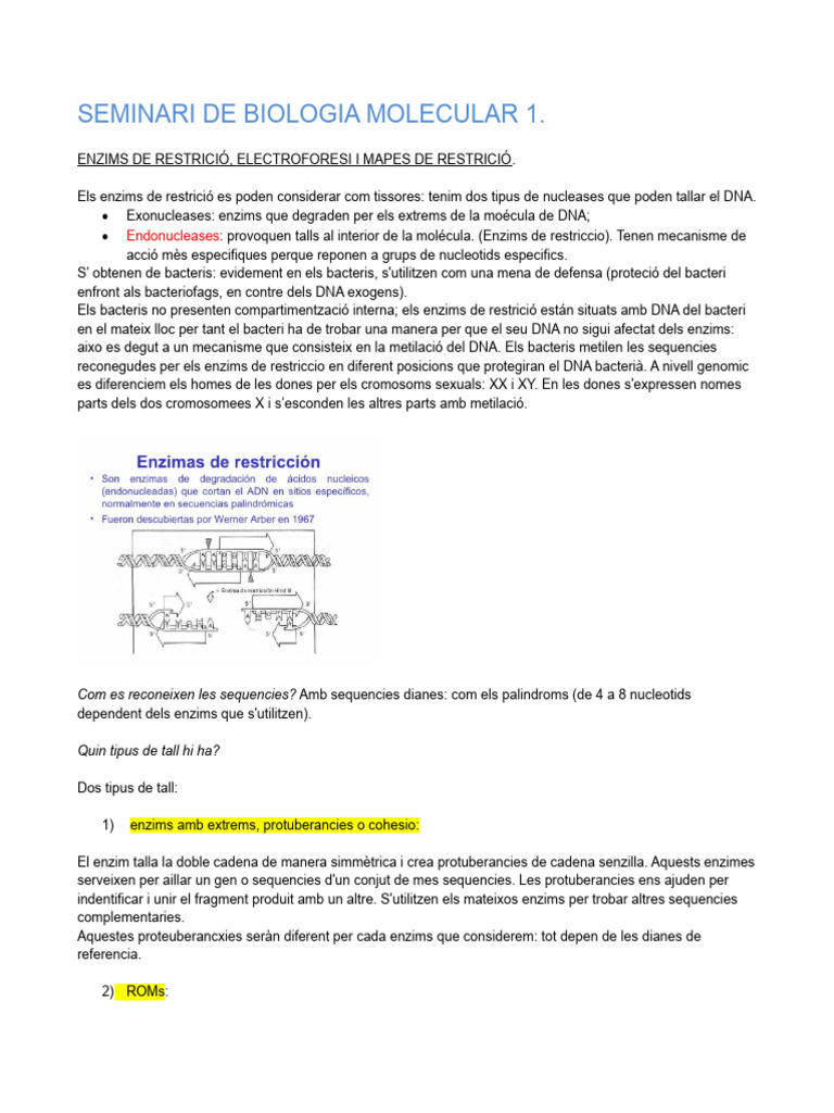 Seminari 1 BIOMOL | PDF