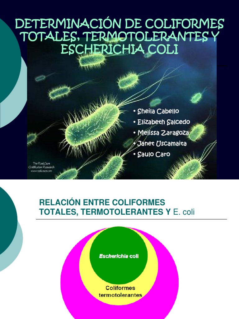 Determinación de Coliformes | Microorganismo | Procariota | Prueba ...