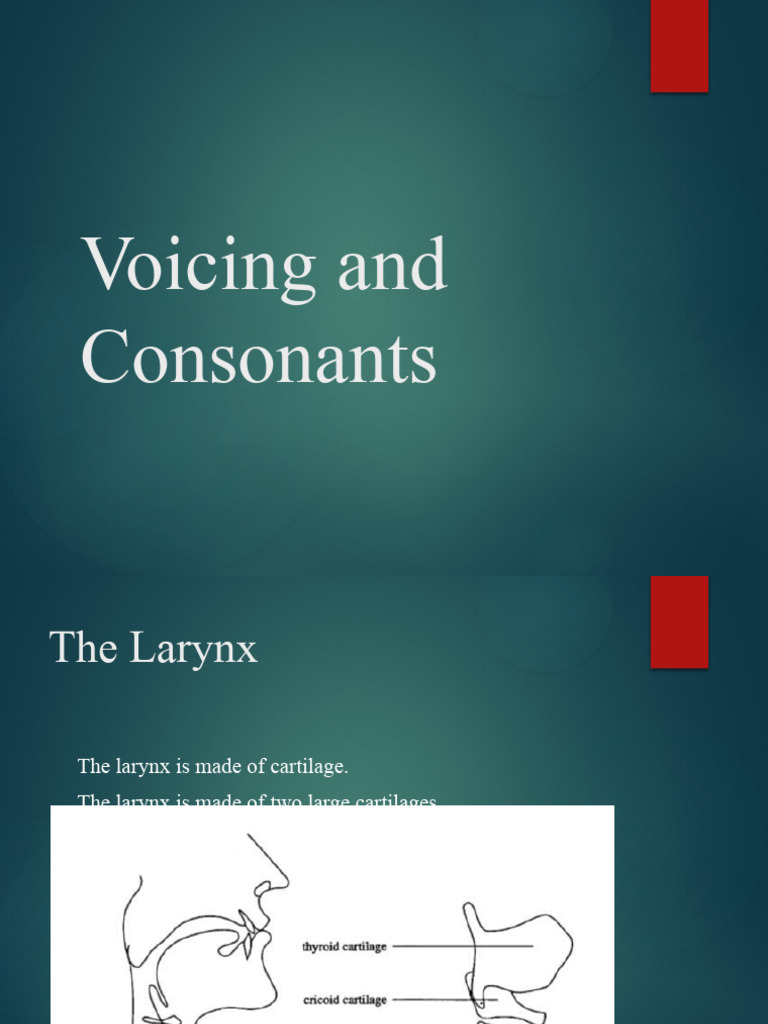 Chapter 4 - Voicing and Consonants | PDF | Larynx | Phonetics Chapter 4 - Voicing and Consonants | PDF | Larynx | Phonetics