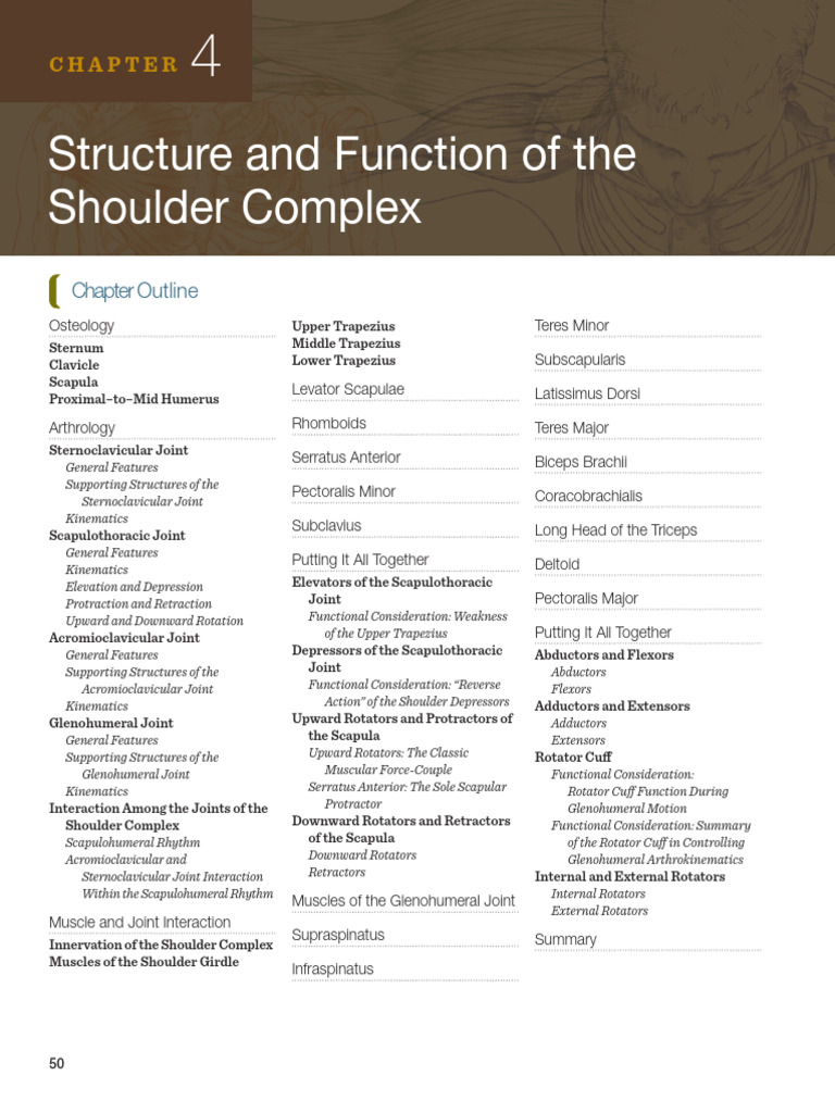 First Page PDF | PDF | Anatomy | Limbs (Anatomy)