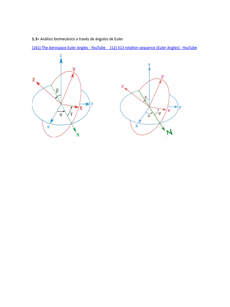 Análisis Biomecánico con Ángulos de Euler | PDF | Ciencia y matemáticas