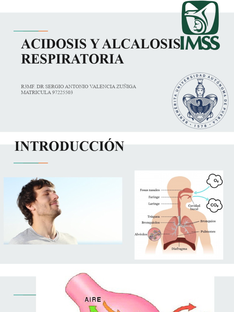 Acidosis y Alcalosis Respiratoria: Guía Completa | PDF | Especialidades ...