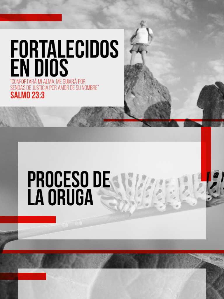 Fortalecidos en Dios | PDF