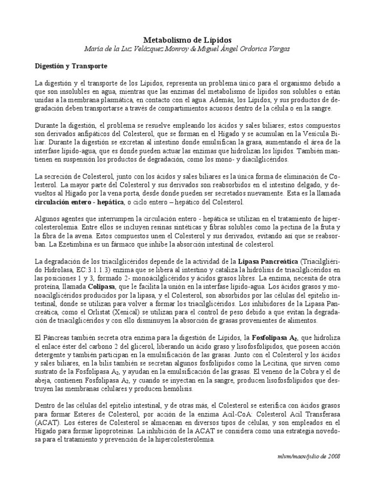 7b - Metabolismo de L°pidos | PDF | Ciclo del ácido cítrico | Dieta y nutrición