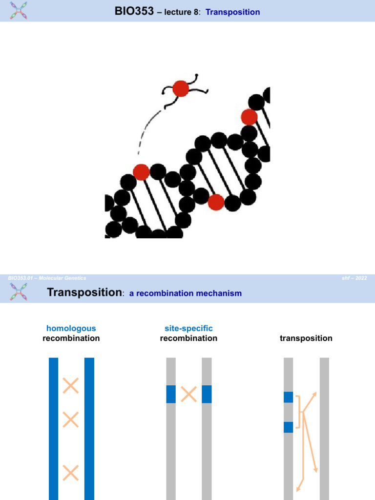 BIO353 Lecture8 (Transposition) SHF 2021 | PDF | Transposable Element ...