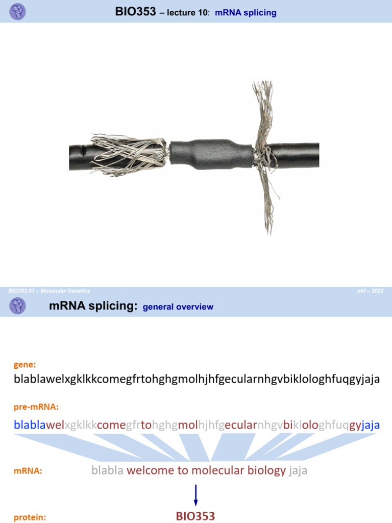 mRNA Splicing: Overview and Mechanisms | PDF | Rna Splicing | Intron