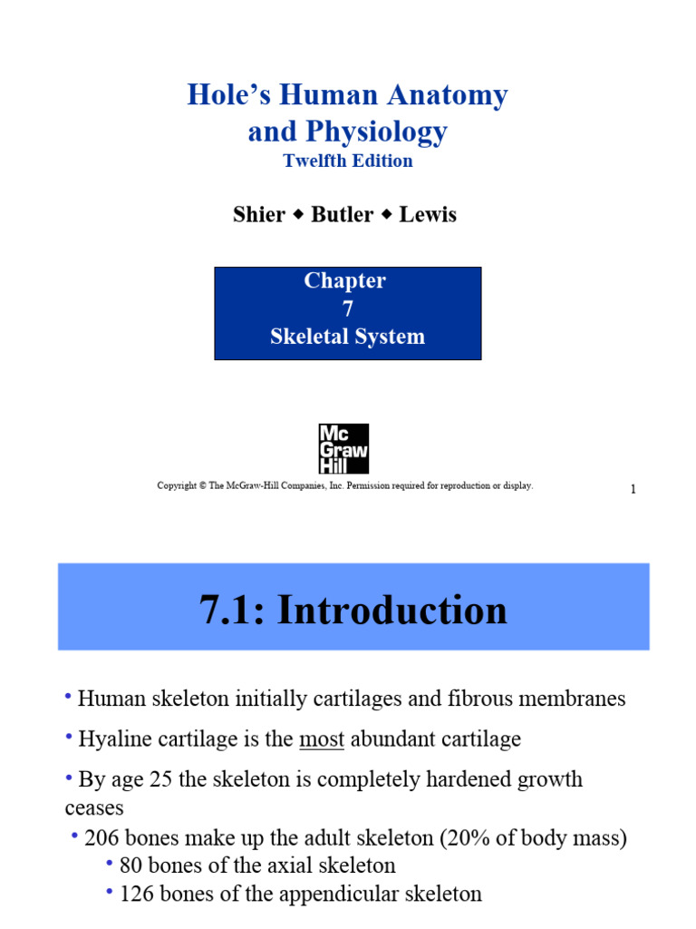 chapt07_holes_lecture_animation_jwt | PDF | Bone | Skeleton